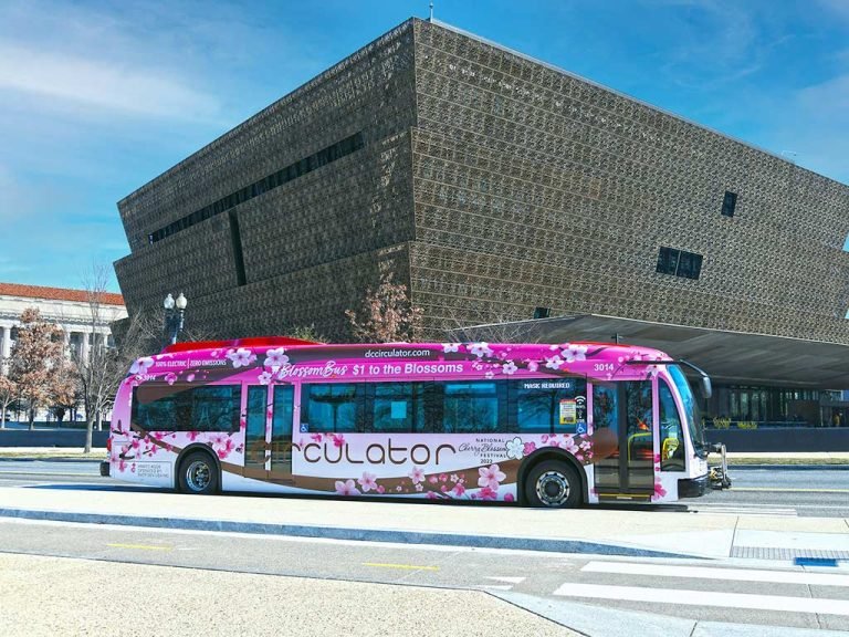Travel Smarter: Bus to Washington DC Guide for Budget Explorers - Beckdc